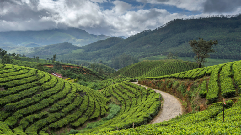 The Most Relaxing Locations Around the World for a Laid Back Vacation ...