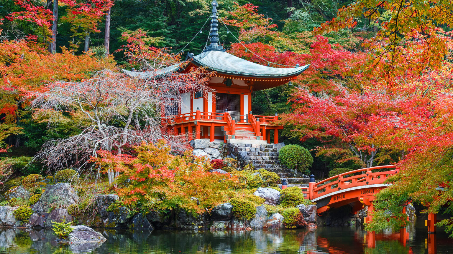 12 Best Places to Travel Month by Month: A Year-Round Travel Guide ...