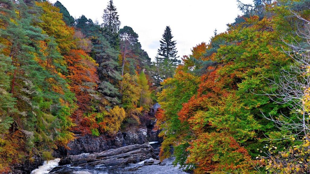 15 Best Fall Foliage Destinations Around the World - The Daily Dive