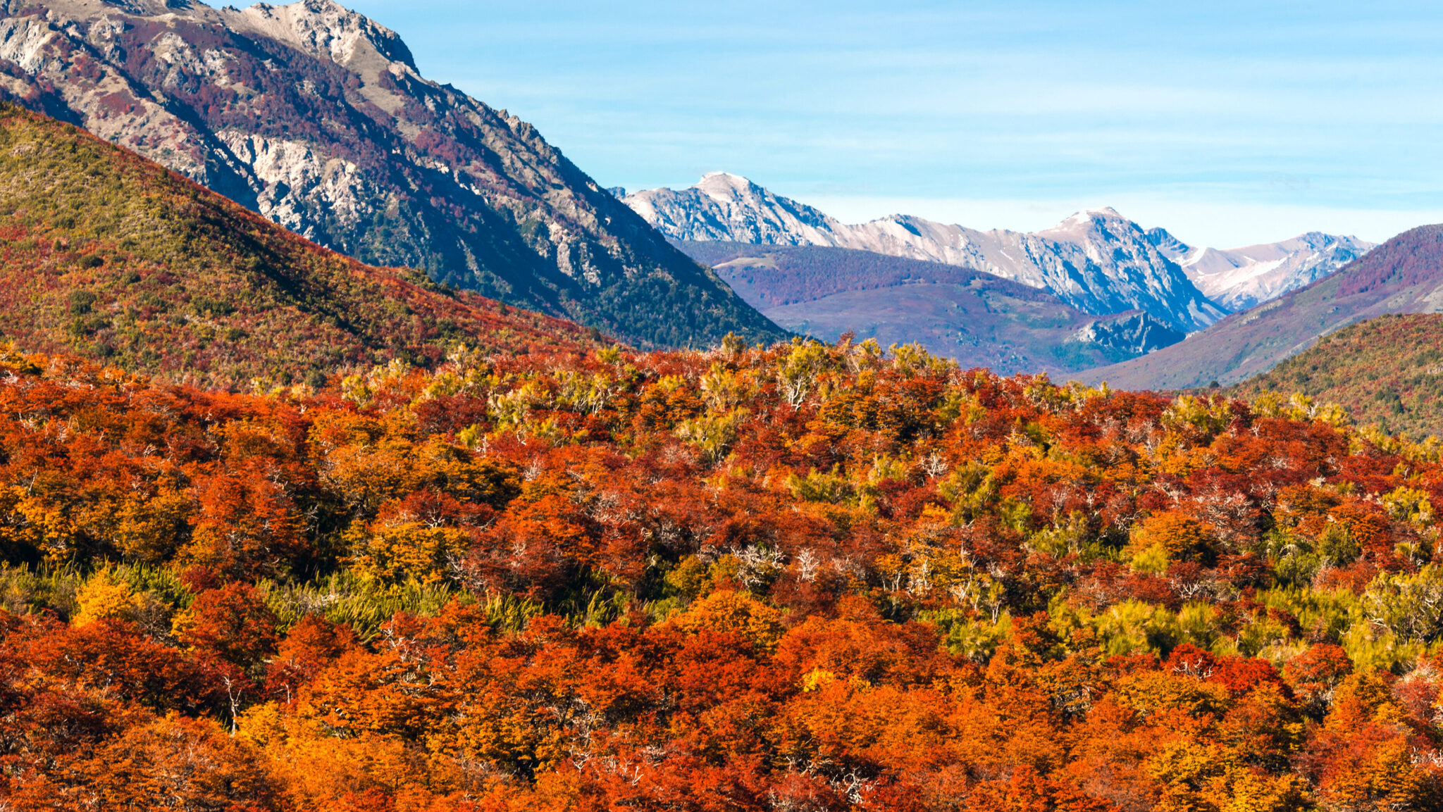 15 Best Fall Foliage Destinations Around the World - The Daily Dive