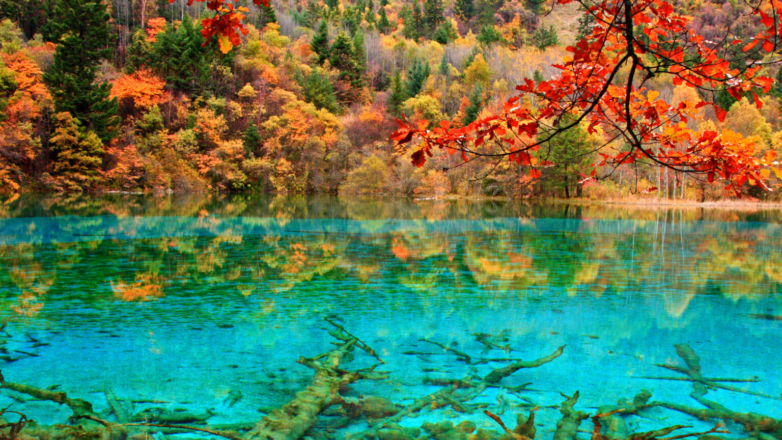 15 Best Fall Foliage Destinations Around the World - The Daily Dive