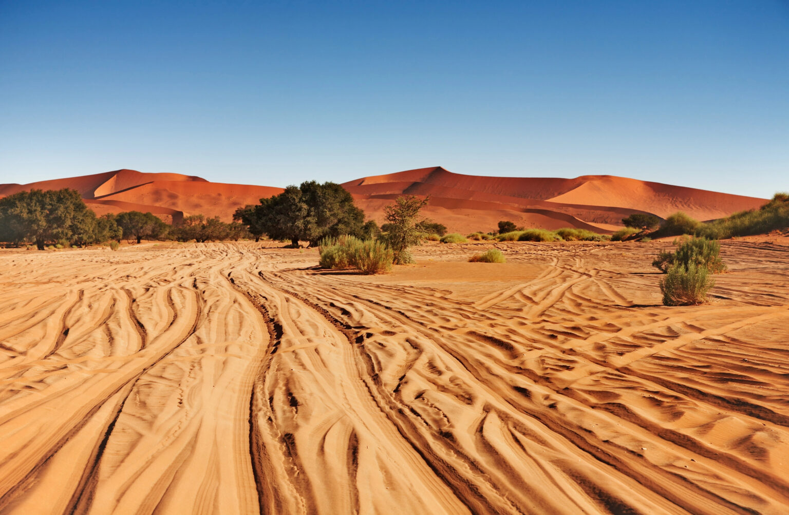 Desert Adventures: 12 Beautiful Deserts Around the World to Explore ...