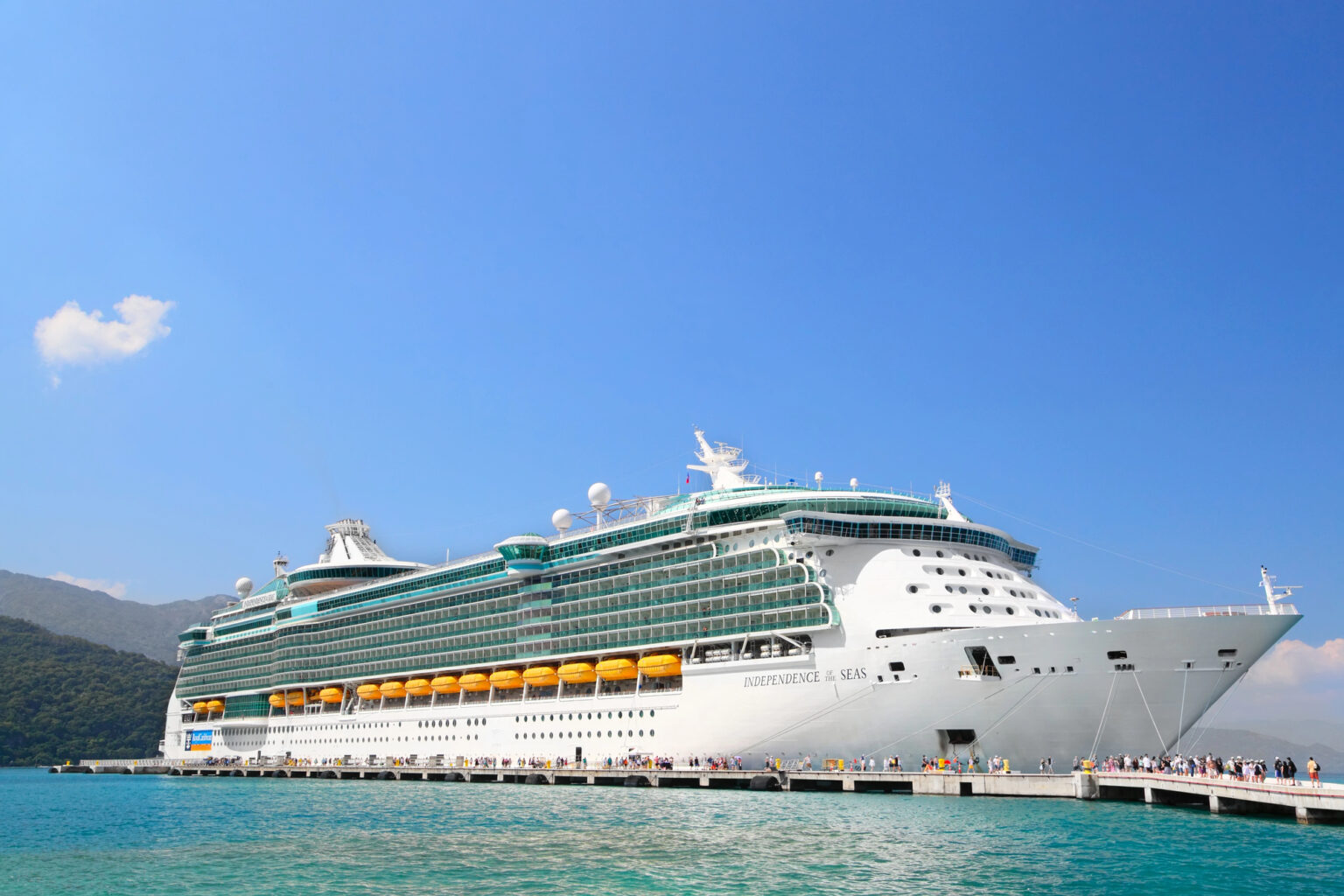 Royal Caribbean Issues Health Warning After Legionnaires’ Disease Case ...