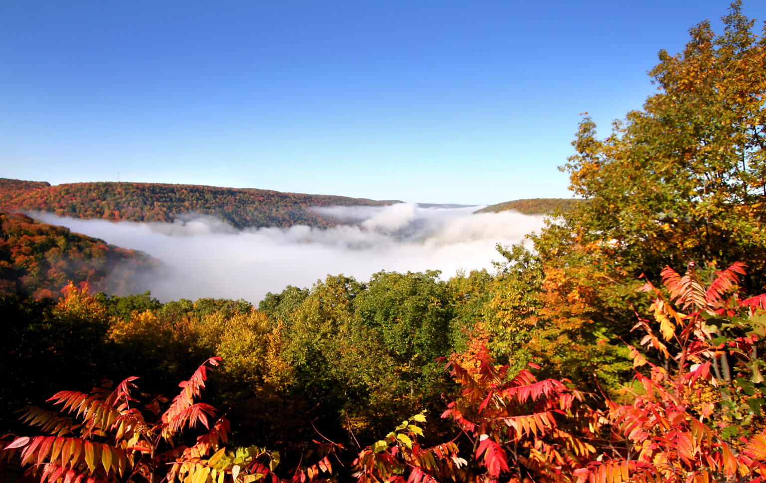 Ranking The 23 Most Beautiful States In The US According To Travelers ...
