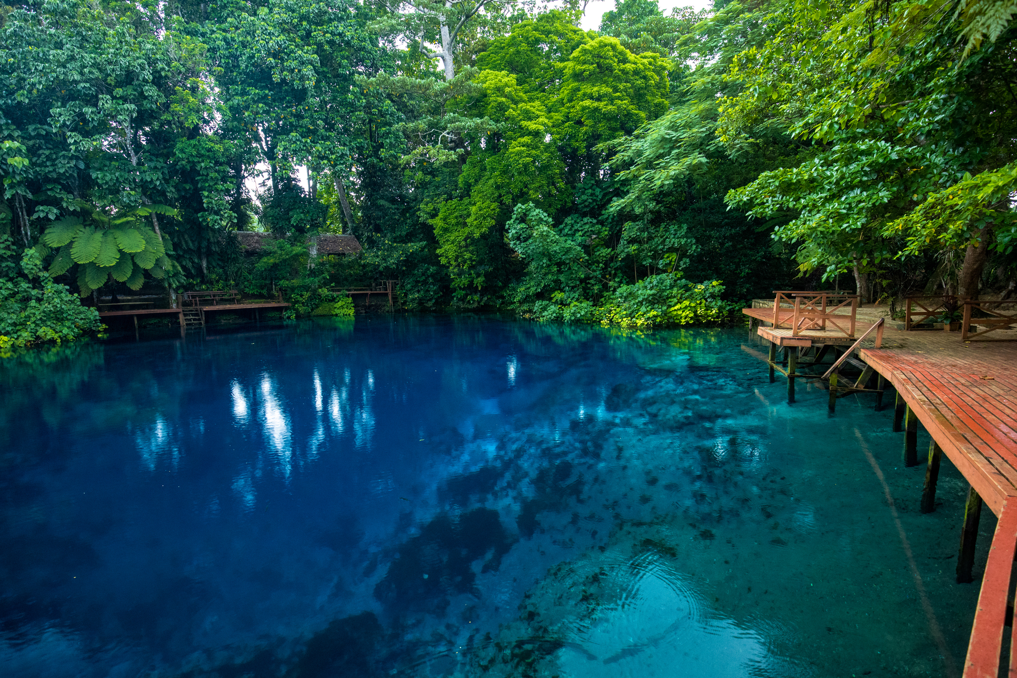 Where to Swim: The World’s 20 Clearest Natural Pools - The Daily Dive