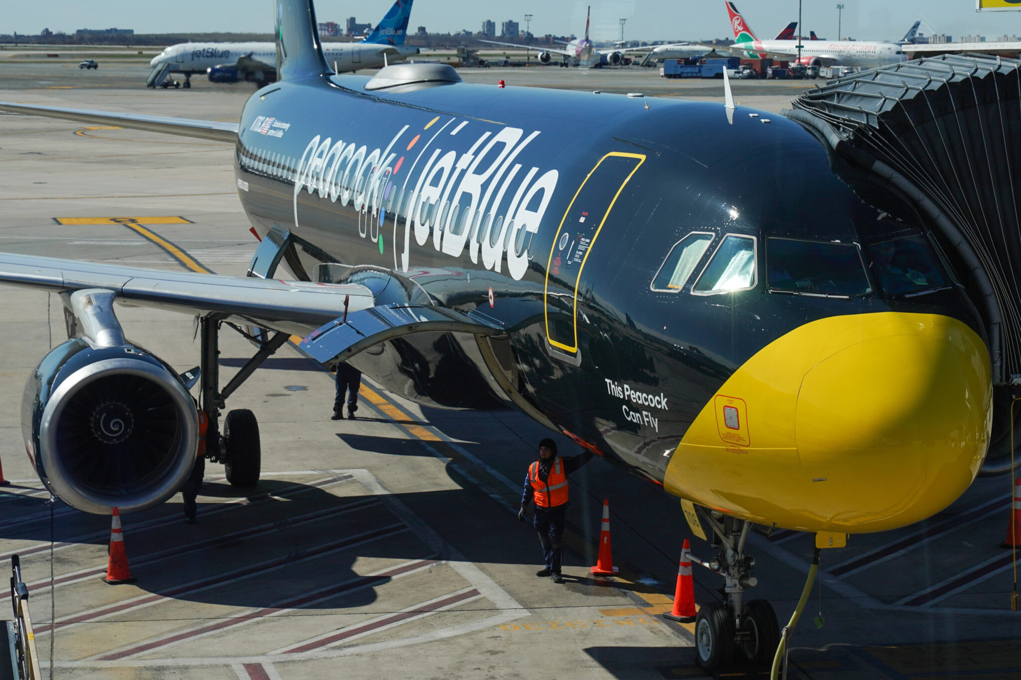 2025’s Most On-Time Airlines (Ranked From Best to Worst) - The Daily Dive