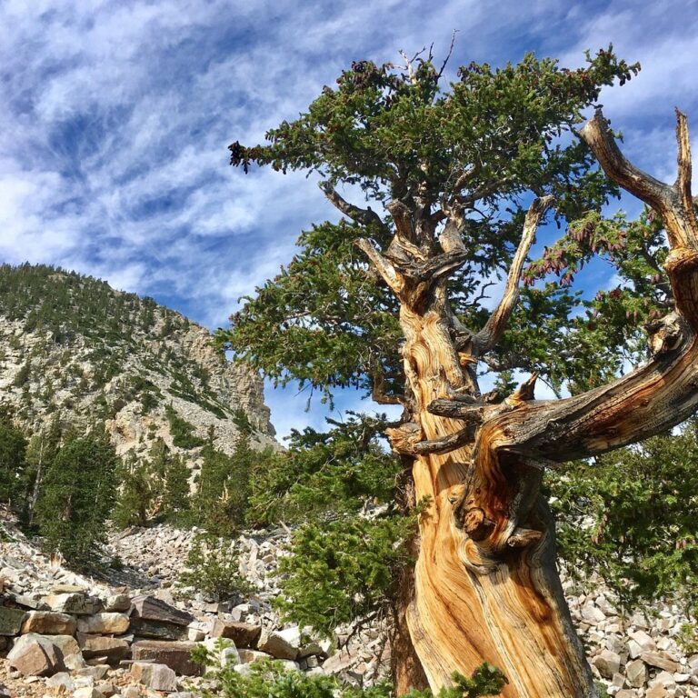 I’ve Explored America Coast to Coast—These Are 50 Unforgettable U.S ...