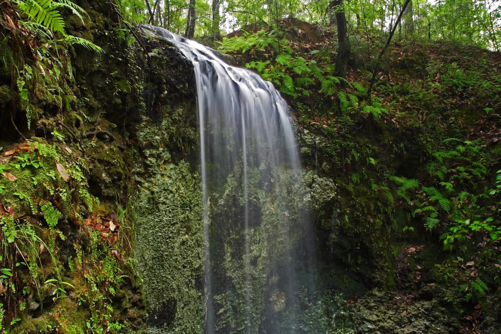 50 States, 50 Waterfalls: The Most Breathtaking Cascade in Every Corner ...