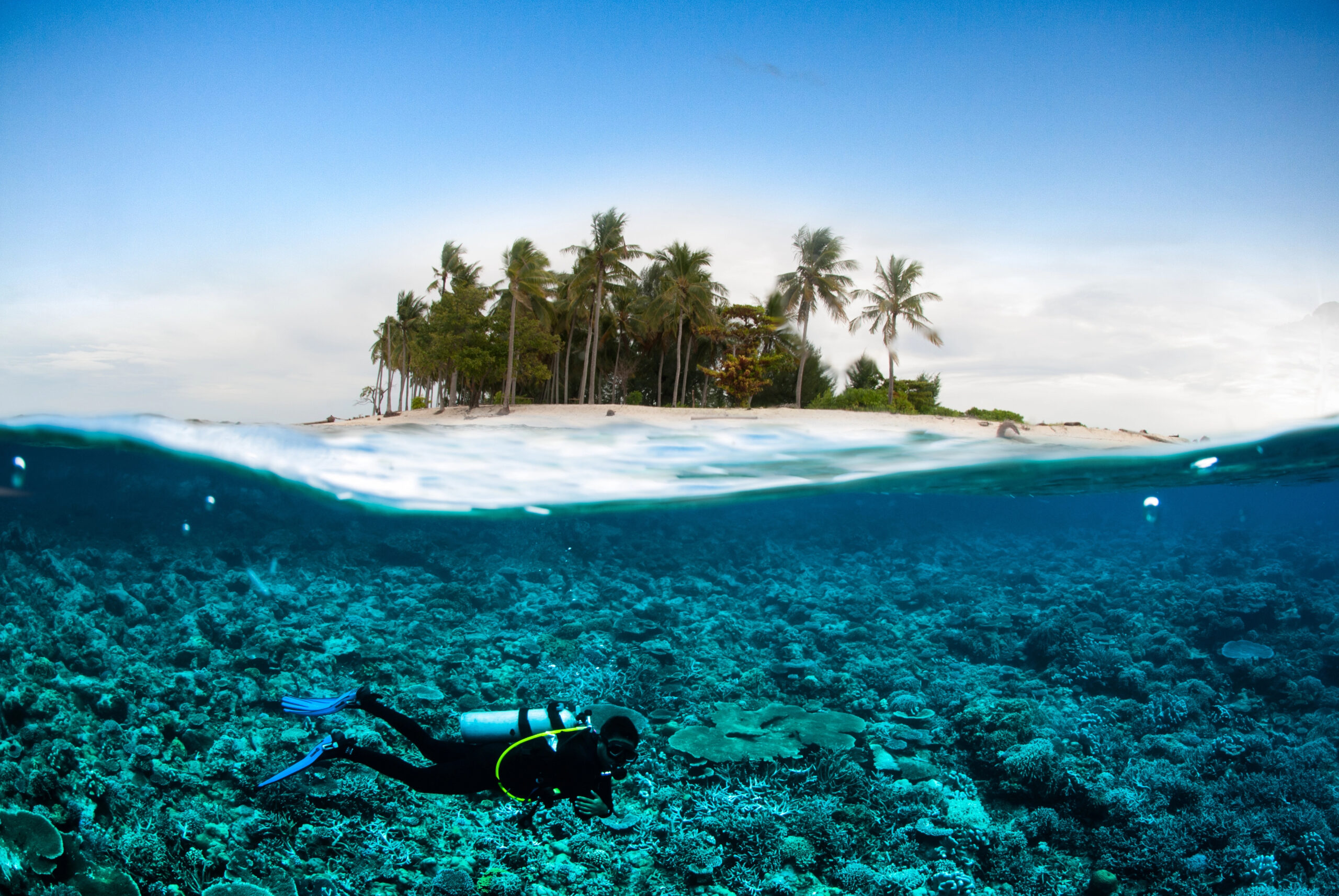 Scuba Diving’s Ultimate Bucket List: The World’s Top Dive Spots - The ...