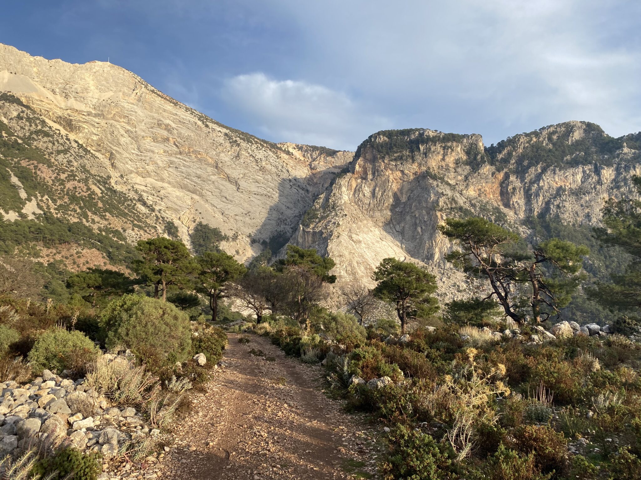 15 Oceanfront Hikes With The Most Spectacular Views - The Daily Dive