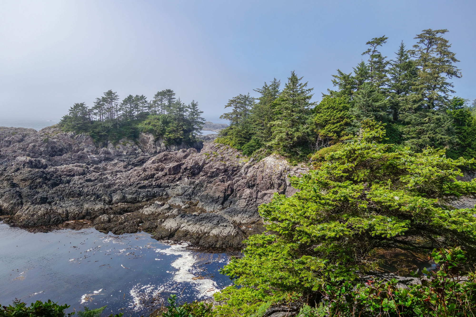 15 Oceanfront Hikes With The Most Spectacular Views - The Daily Dive