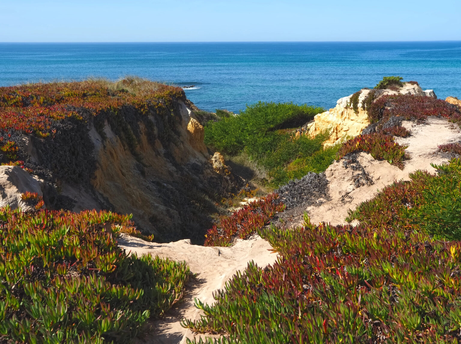 15 Oceanfront Hikes With The Most Spectacular Views - The Daily Dive