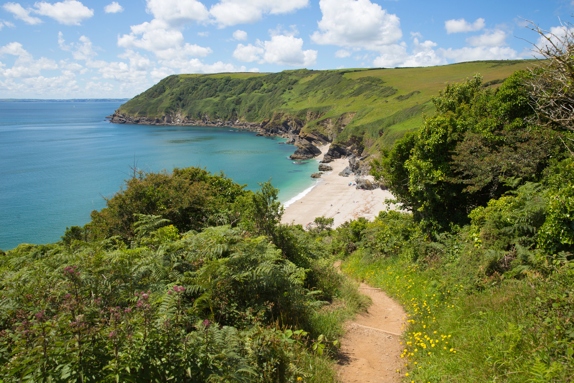 15 Oceanfront Hikes With The Most Spectacular Views - The Daily Dive