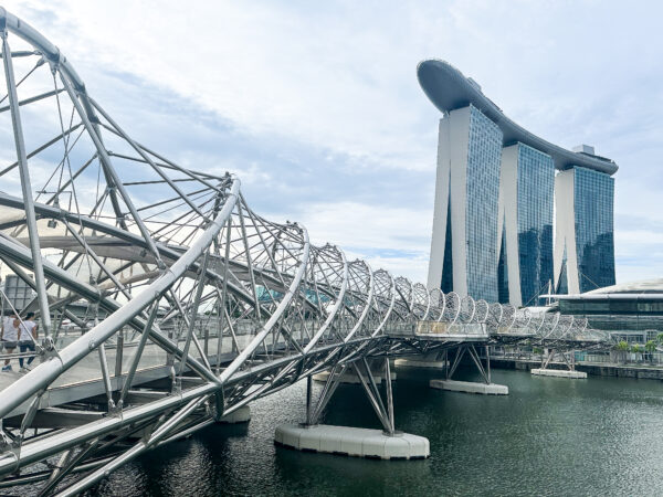 20 Unique Bridges Worth Traveling for Around the World - The Daily Dive