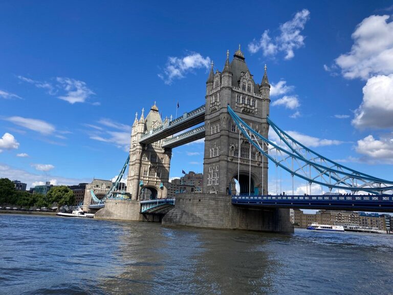 20 Unique Bridges Worth Traveling for Around the World - The Daily Dive