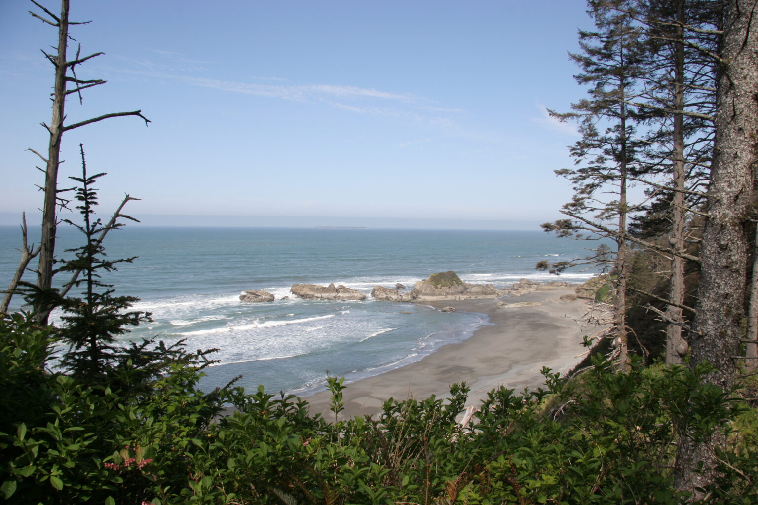 20 Places Where Forest Meets Ocean in Perfect Harmony - The Daily Dive