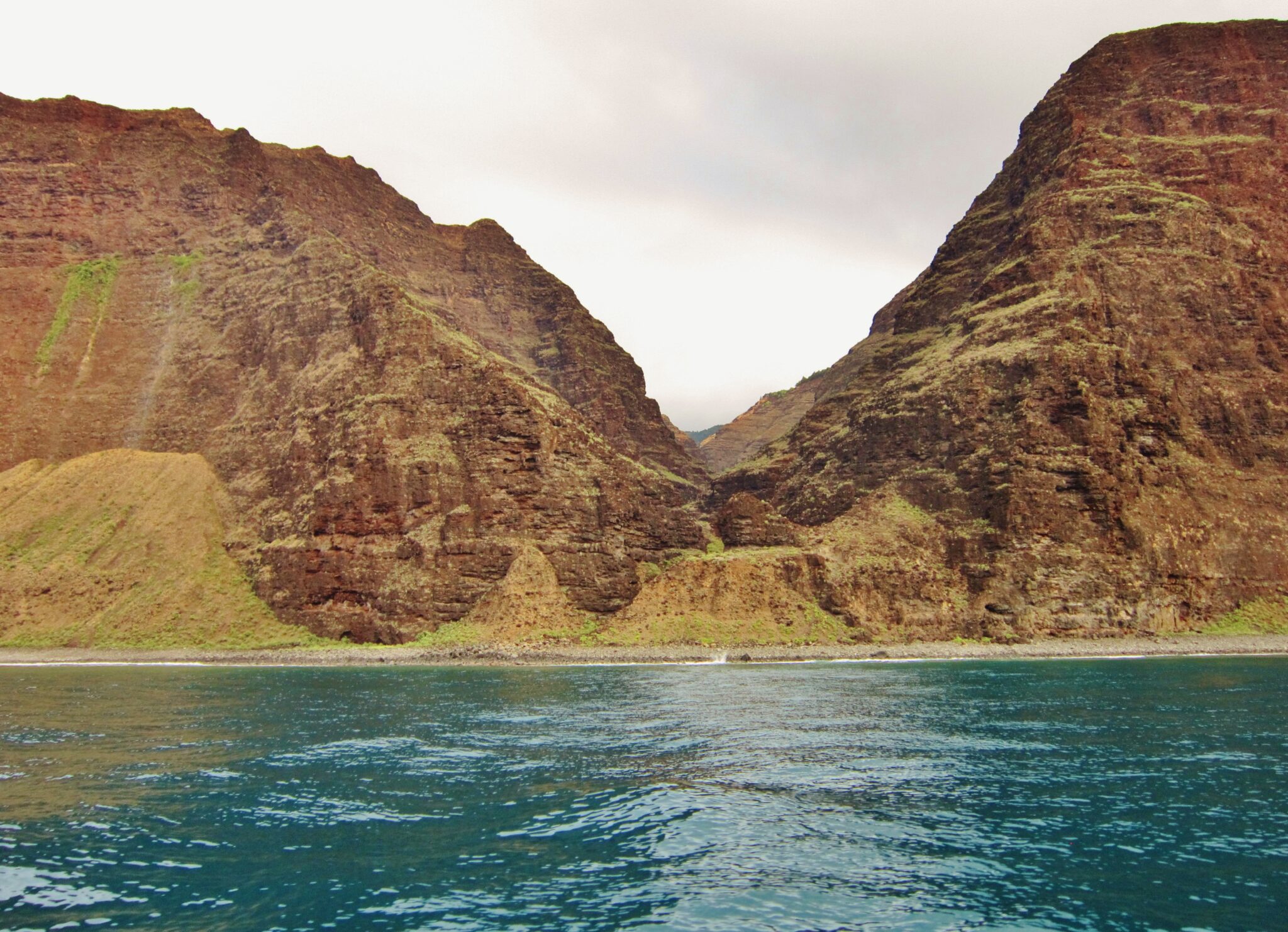 20 Places Where Forest Meets Ocean in Perfect Harmony - The Daily Dive