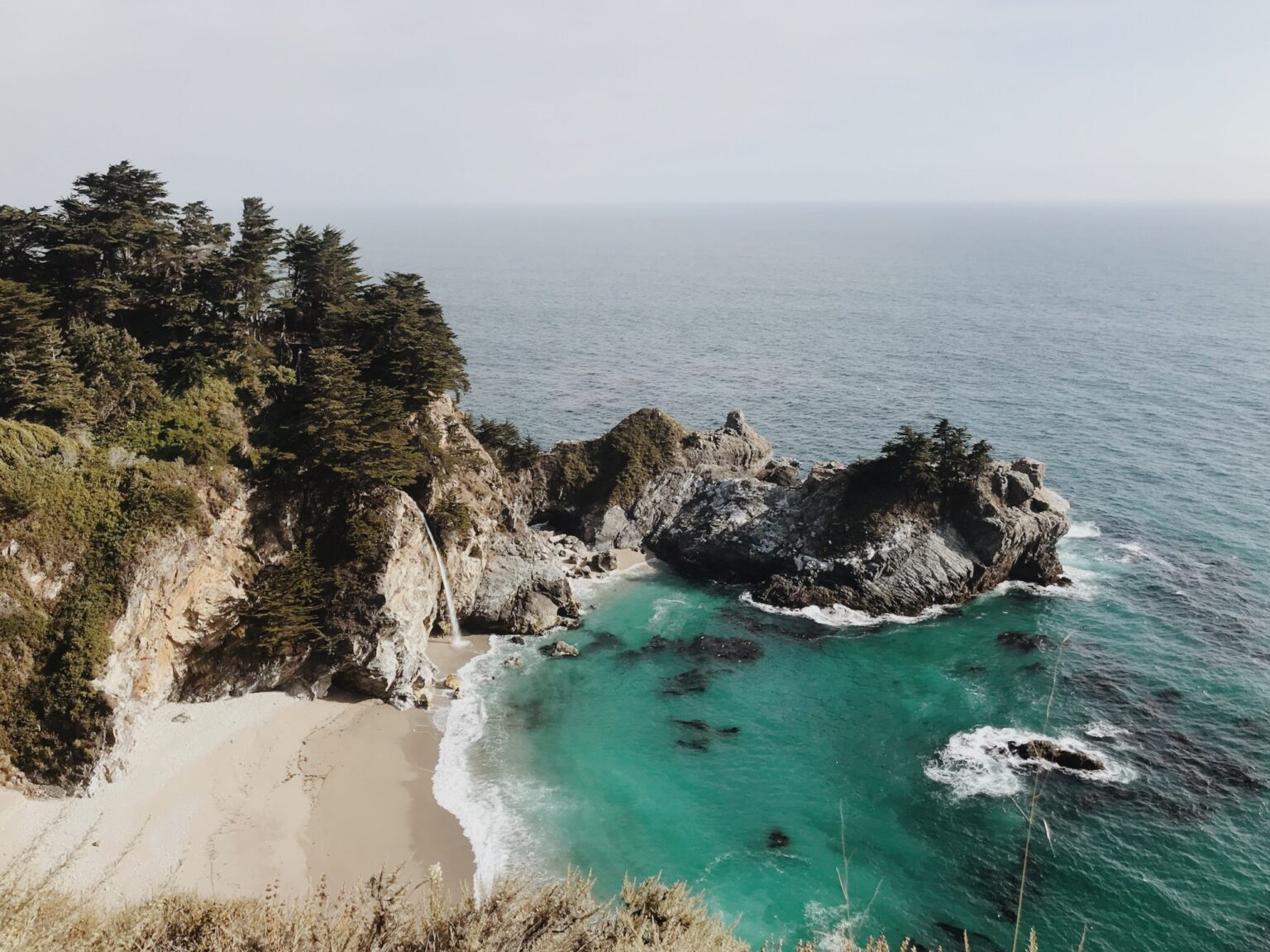 20 Places Where Forest Meets Ocean in Perfect Harmony - The Daily Dive