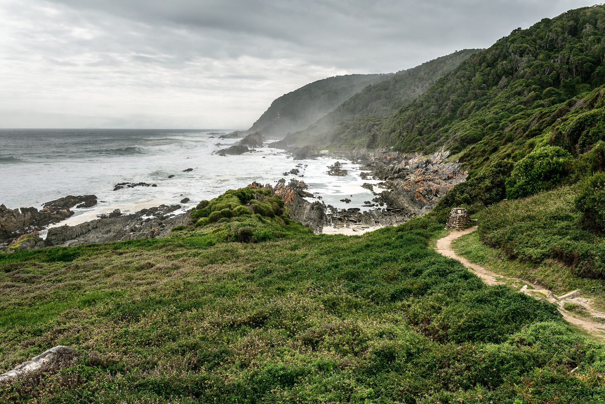 20 Places Where Forest Meets Ocean in Perfect Harmony - The Daily Dive