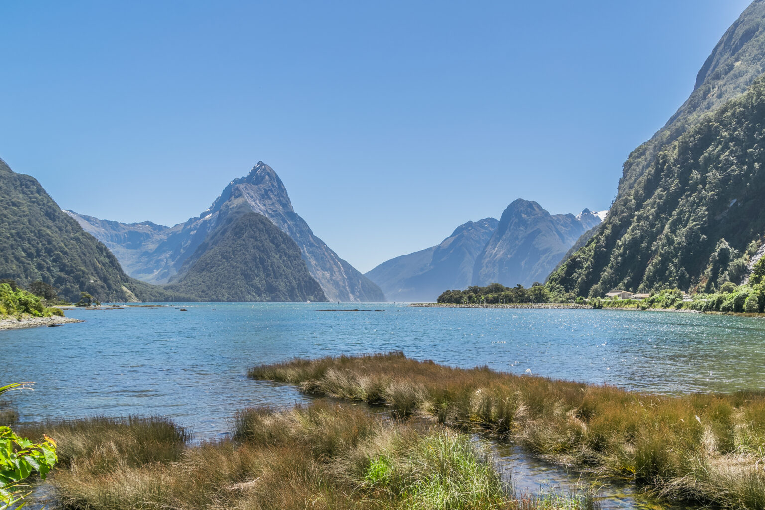 20 Places Where Forest Meets Ocean in Perfect Harmony - The Daily Dive