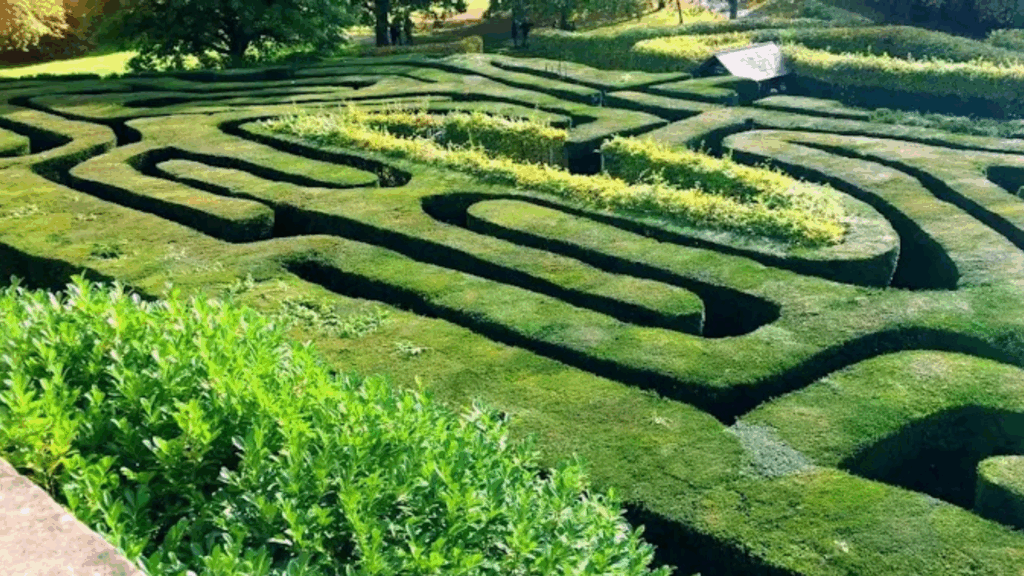 20 Natural Mazes Created by Stone, Water, or Tree - The Daily Dive